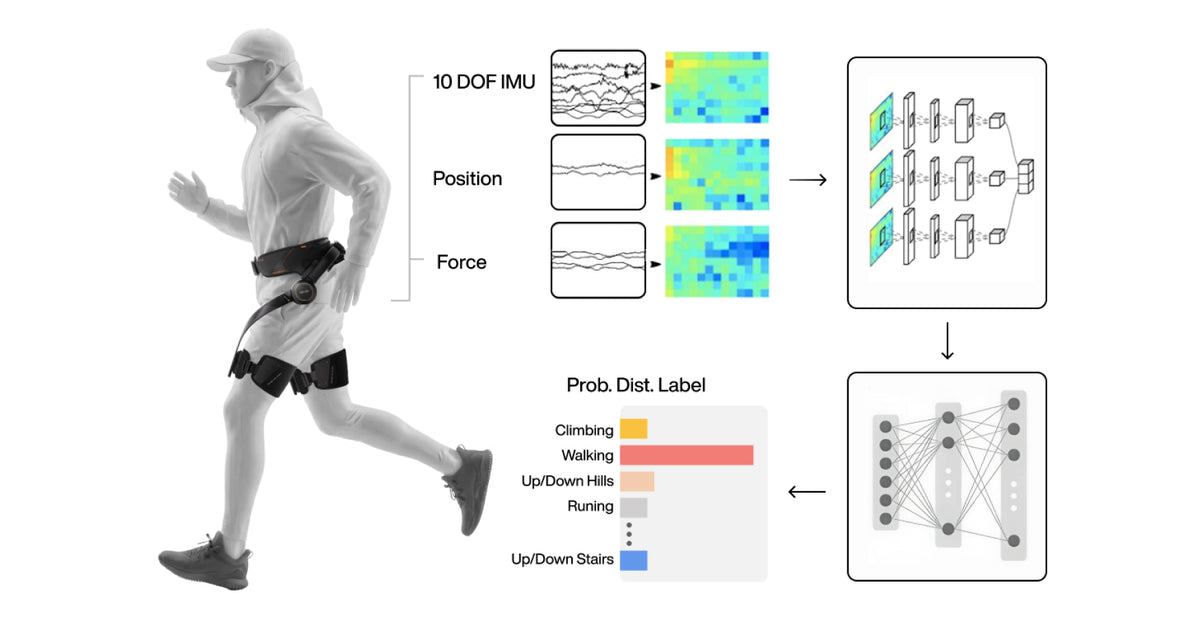 Exoskeleton 101 - The Science Behind Exoskeletons – Hypershell Global